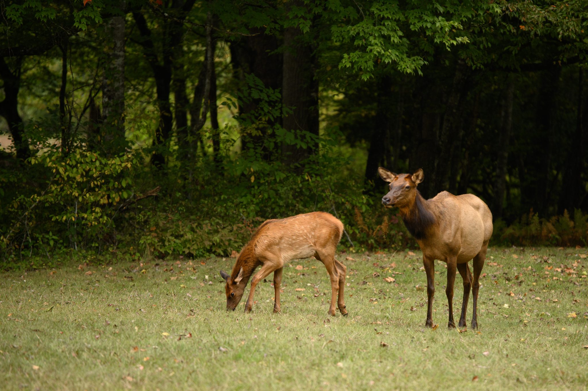 The Best Places to Elope in the US | Simply Eloped